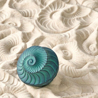 Ammonite | Sand Wonk | Ready to Ship – Olander Earthworks