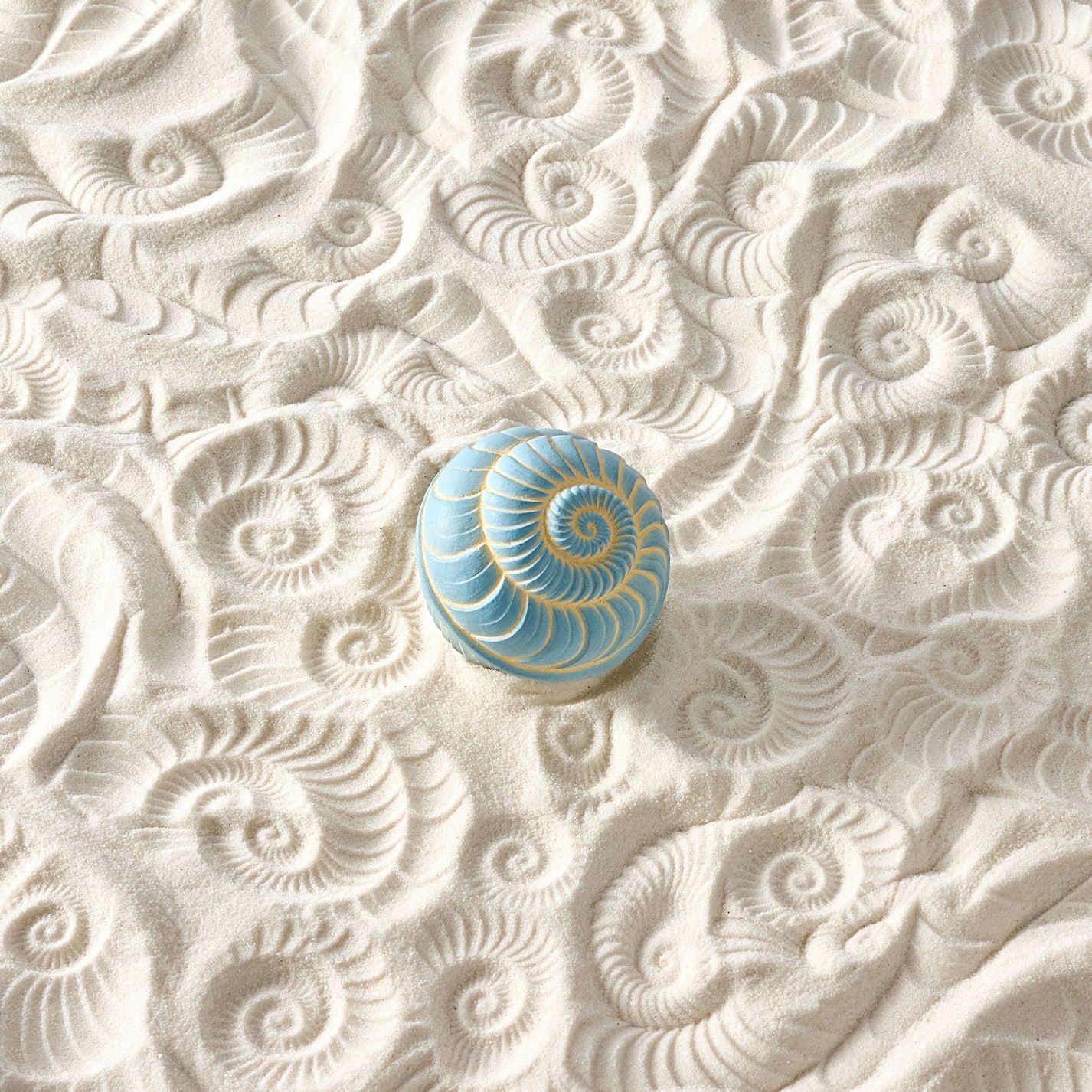 Ammonite | Sand Wonk – Olander Earthworks