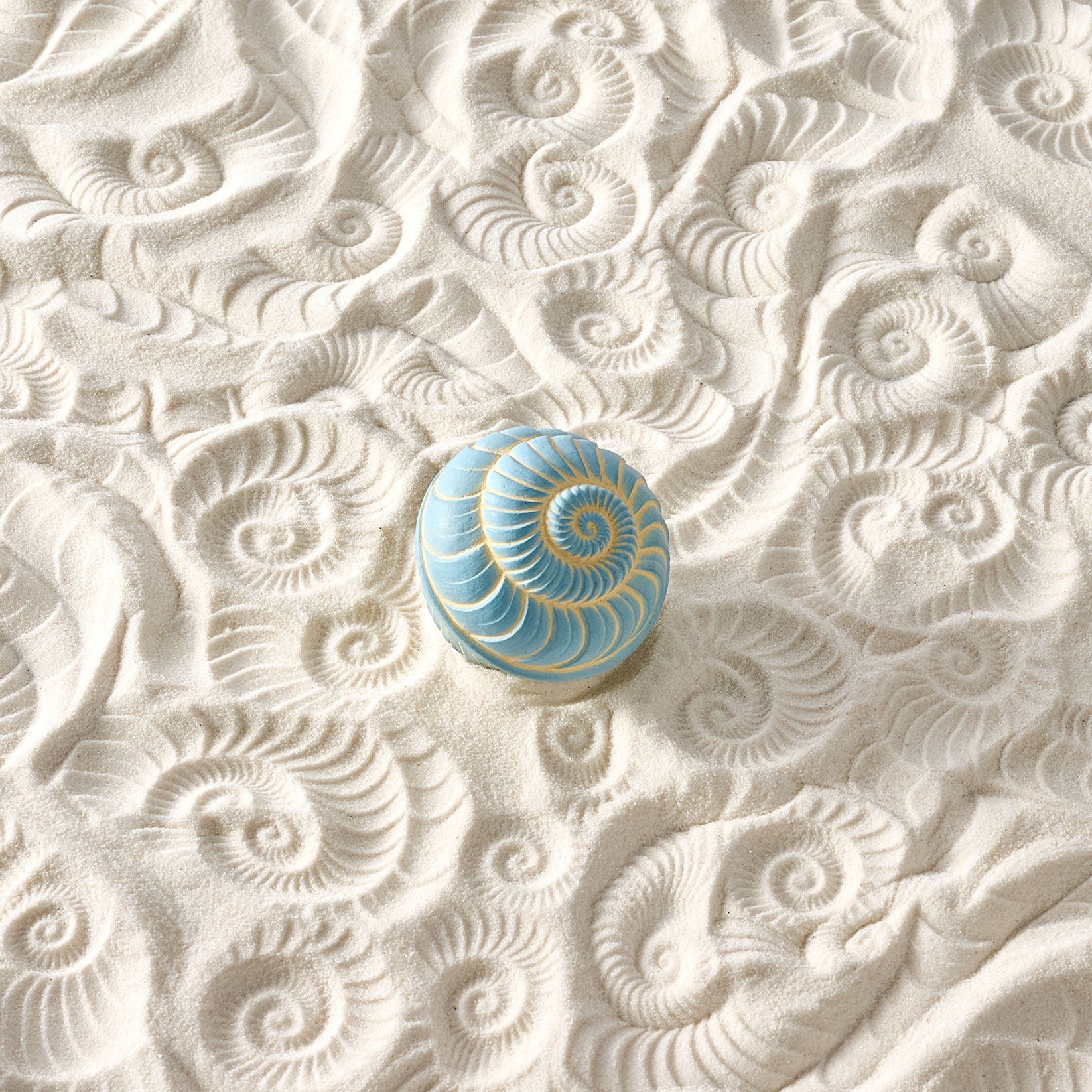 Ammonite | Sand Wonk – Olander Earthworks