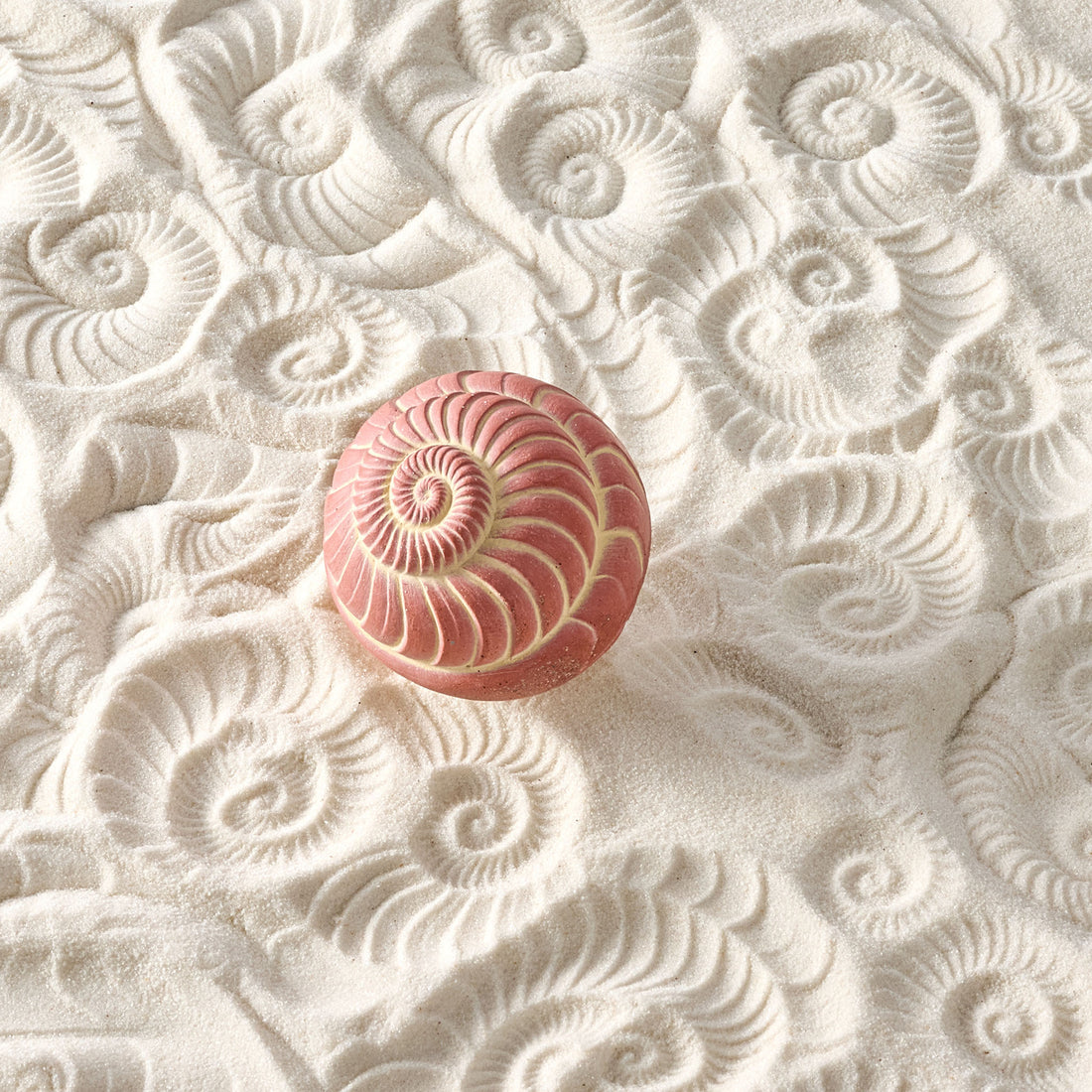 Ammonite | Sand Wonk – Olander Earthworks