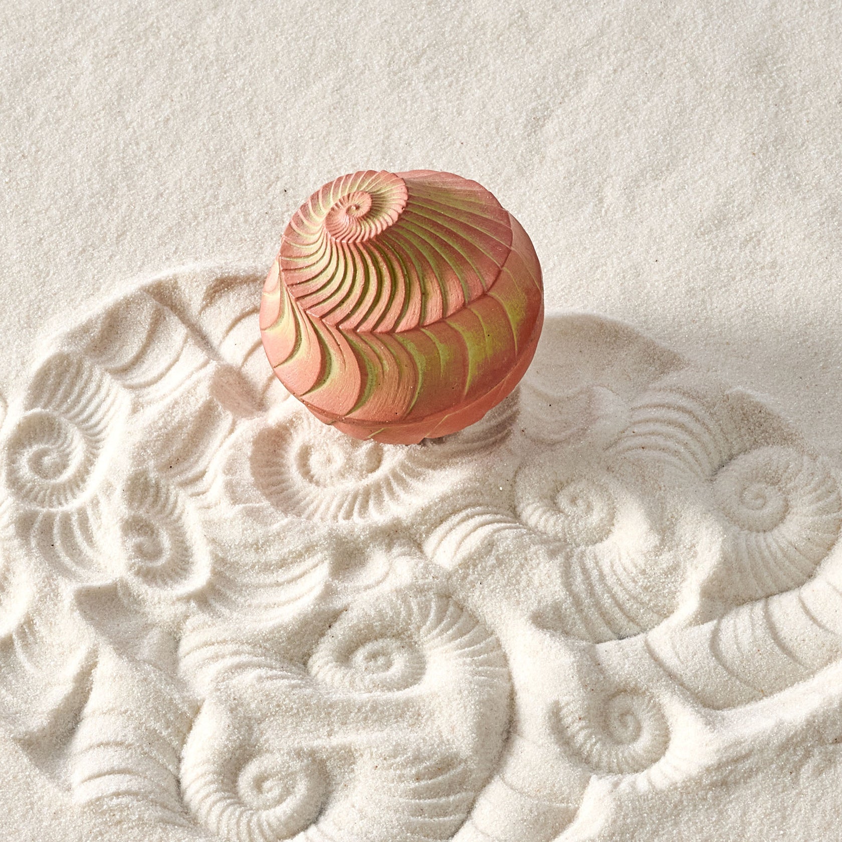 Ammonite | Sand Wonk – Olander Earthworks