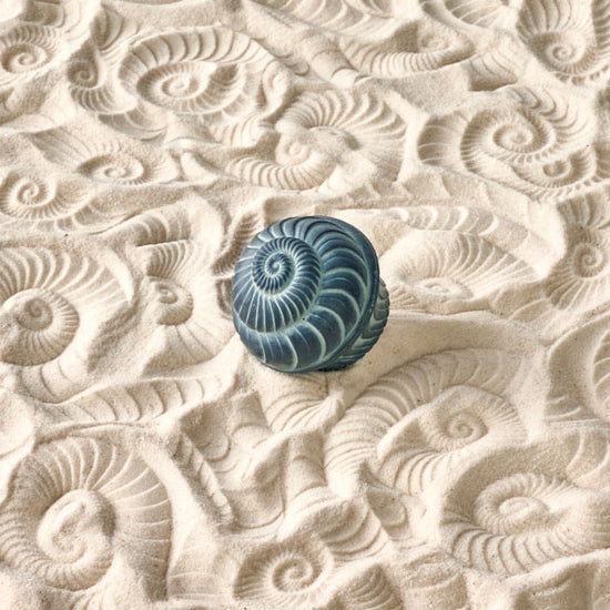 Ammonite | Sand Wonk – Olander Earthworks
