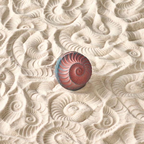 Sand Wonk | Ammonite | Medium – Olander Earthworks